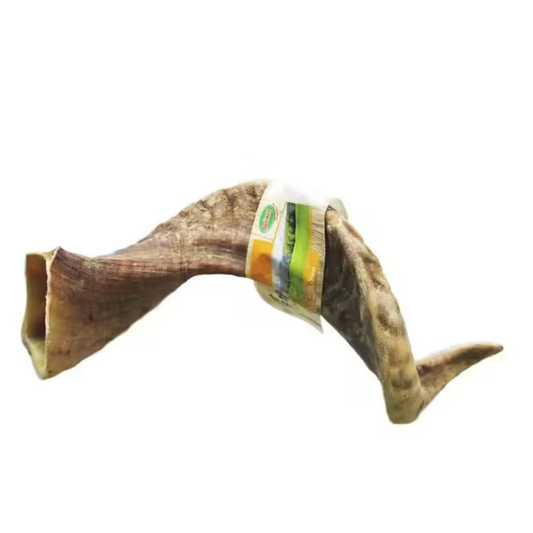 Friandise corne de mouton pour chien