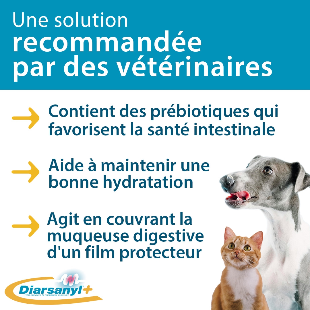 Diarsanyl + protège la muqueuse digestive du chien et du chat lors de ...