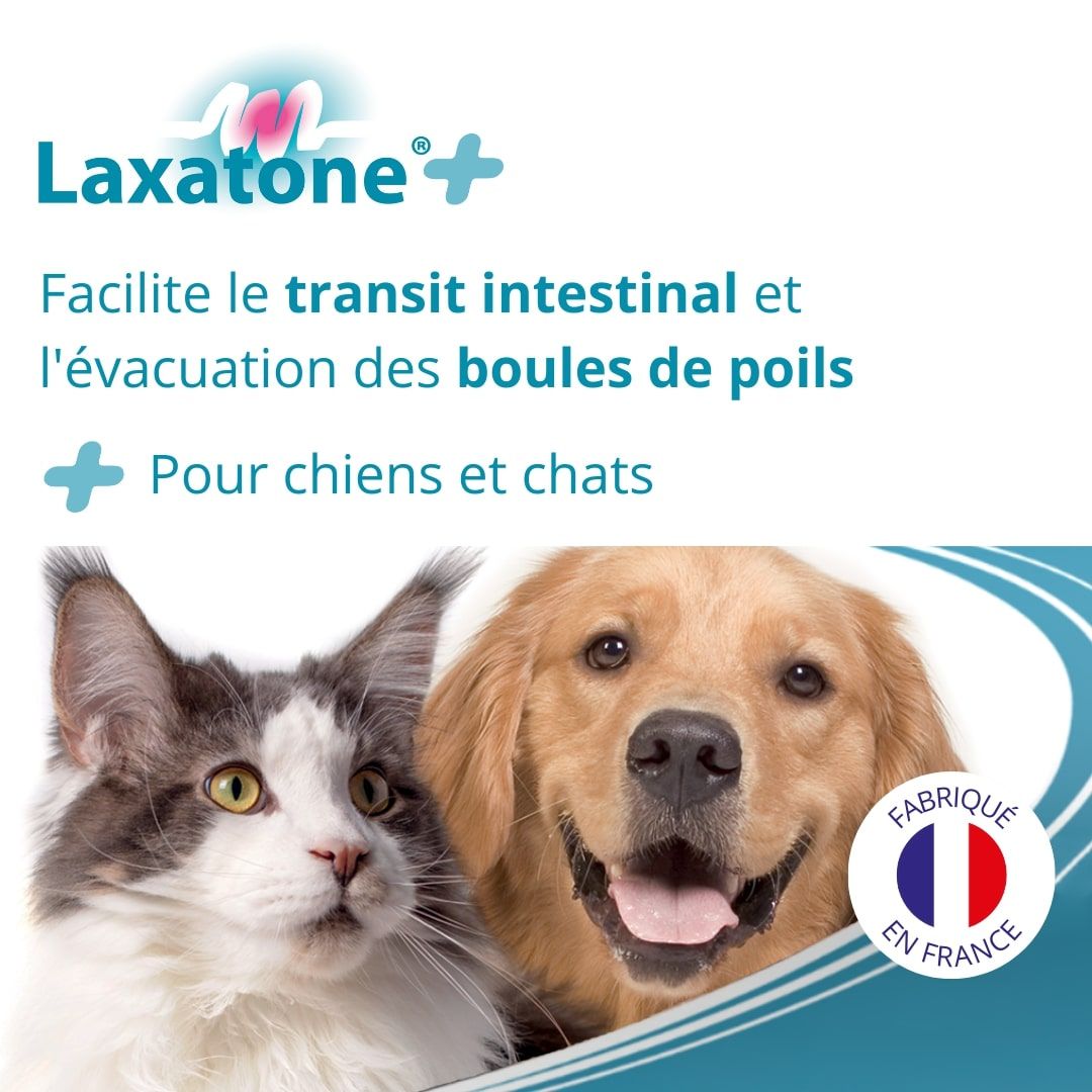 Laxatone + pour chien et chat : pâte orale à base d'huile d'arachide ...