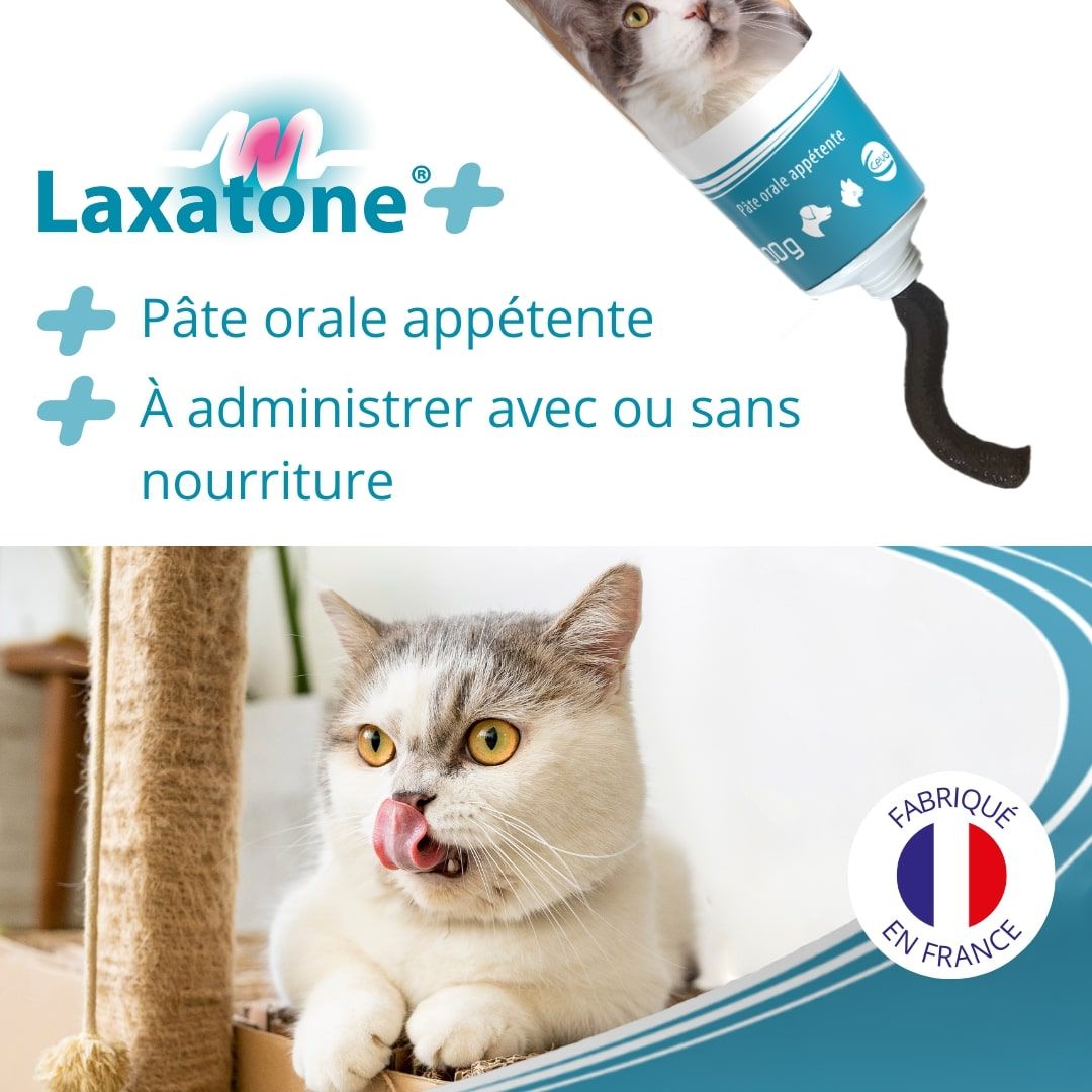 Laxatone + pour chien et chat : pâte orale à base d'huile d'arachide ...
