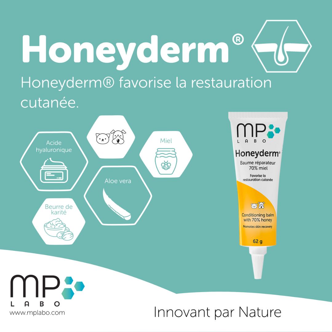 Baume Honeyderm MP Labo : baume réparateur au miel pour chien et chat