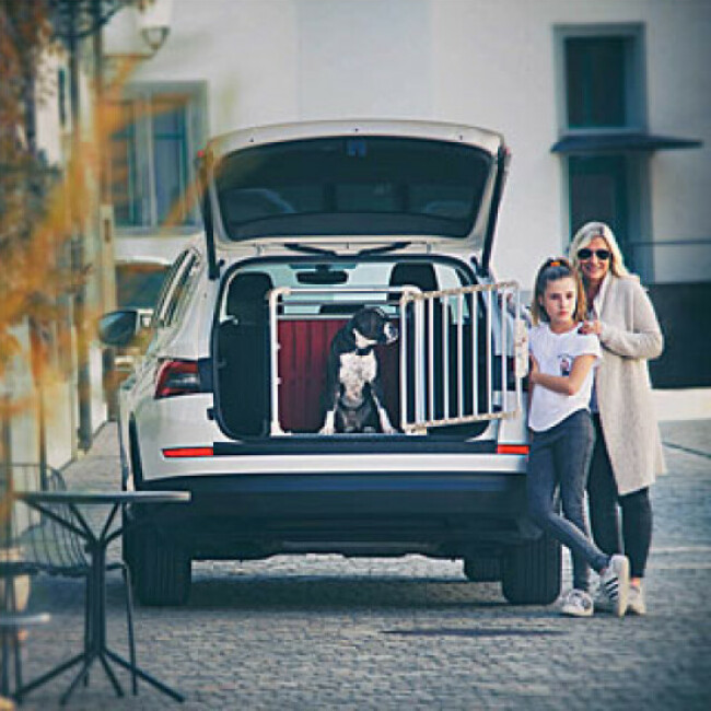 Caisse de transport 4Pets 3 pour chien