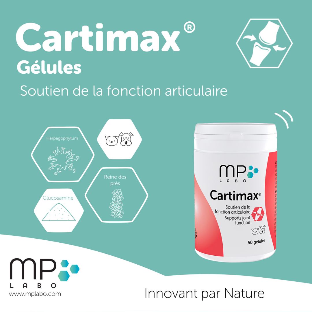 Cartimax articulations MP Labo pour chiens et chats : complément ...