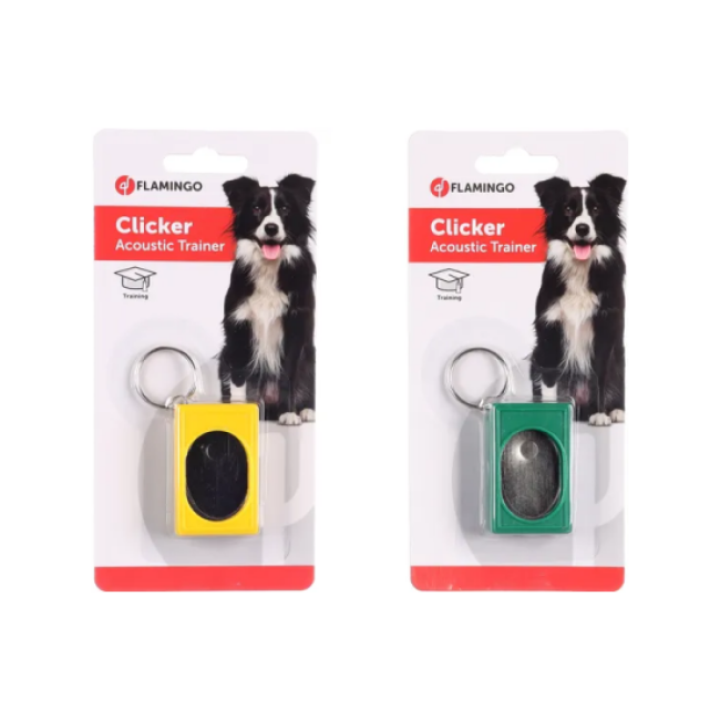 Clicker training méthode positive d\'éducation canine