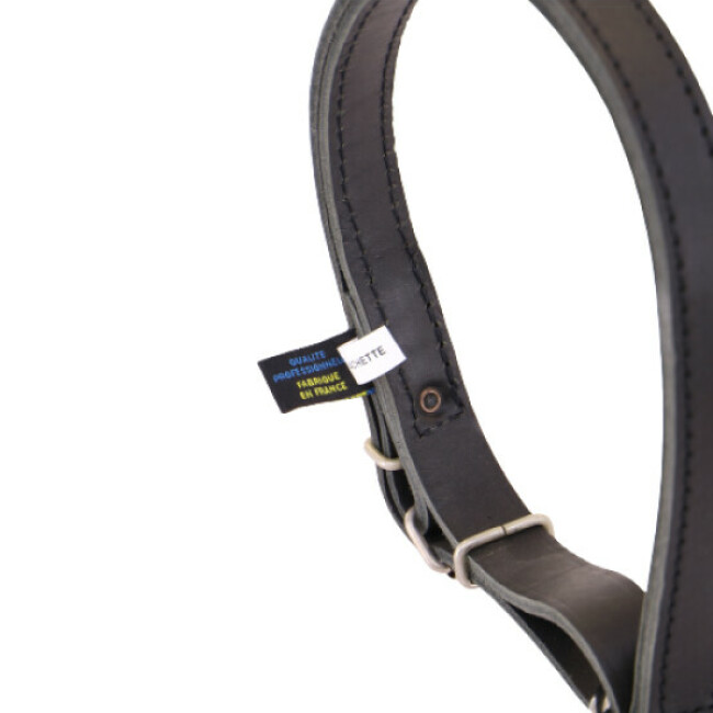 Collier en cuir pour chien