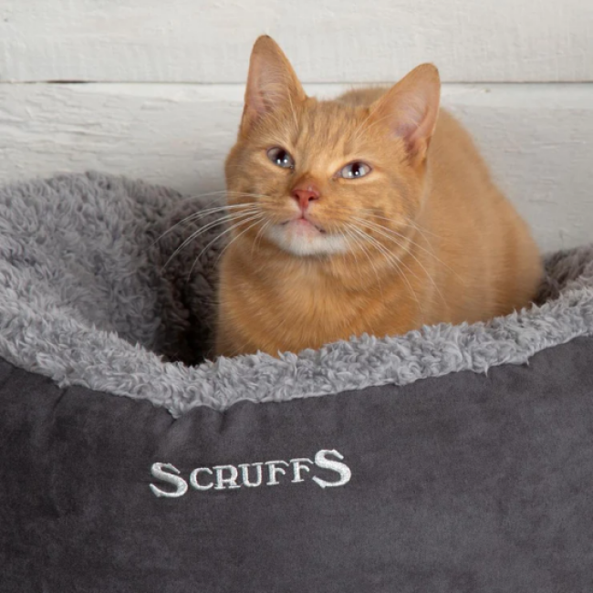 Cosy cat bed Scruff
