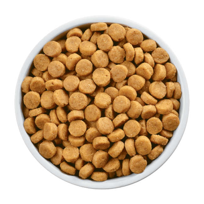 Croquettes Prescription Diet Canine U/D pour chien Hill's