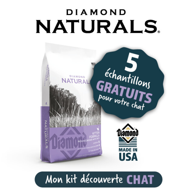 Croquettes chaton Diamond Naturals Kitten Formula