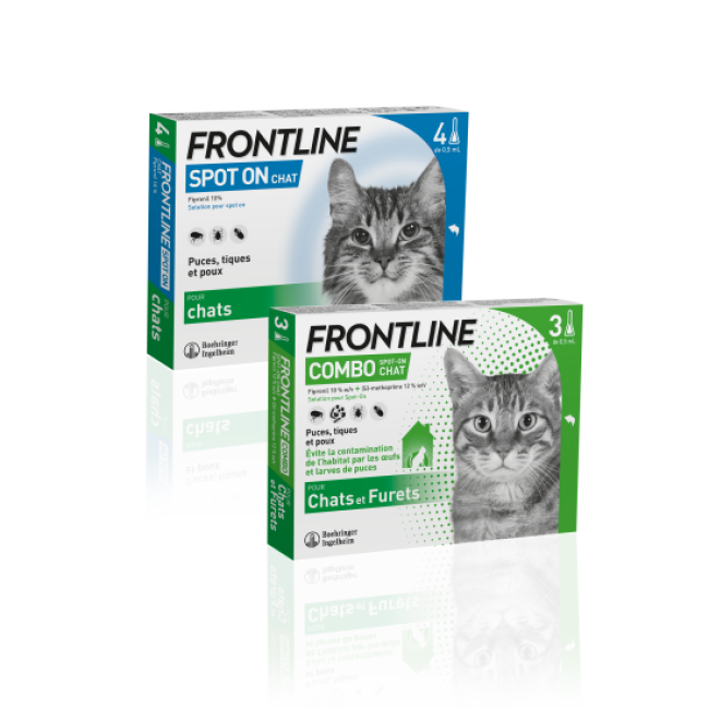 Frontline antiparasitaire Combo Spot On soin pour chats et furets