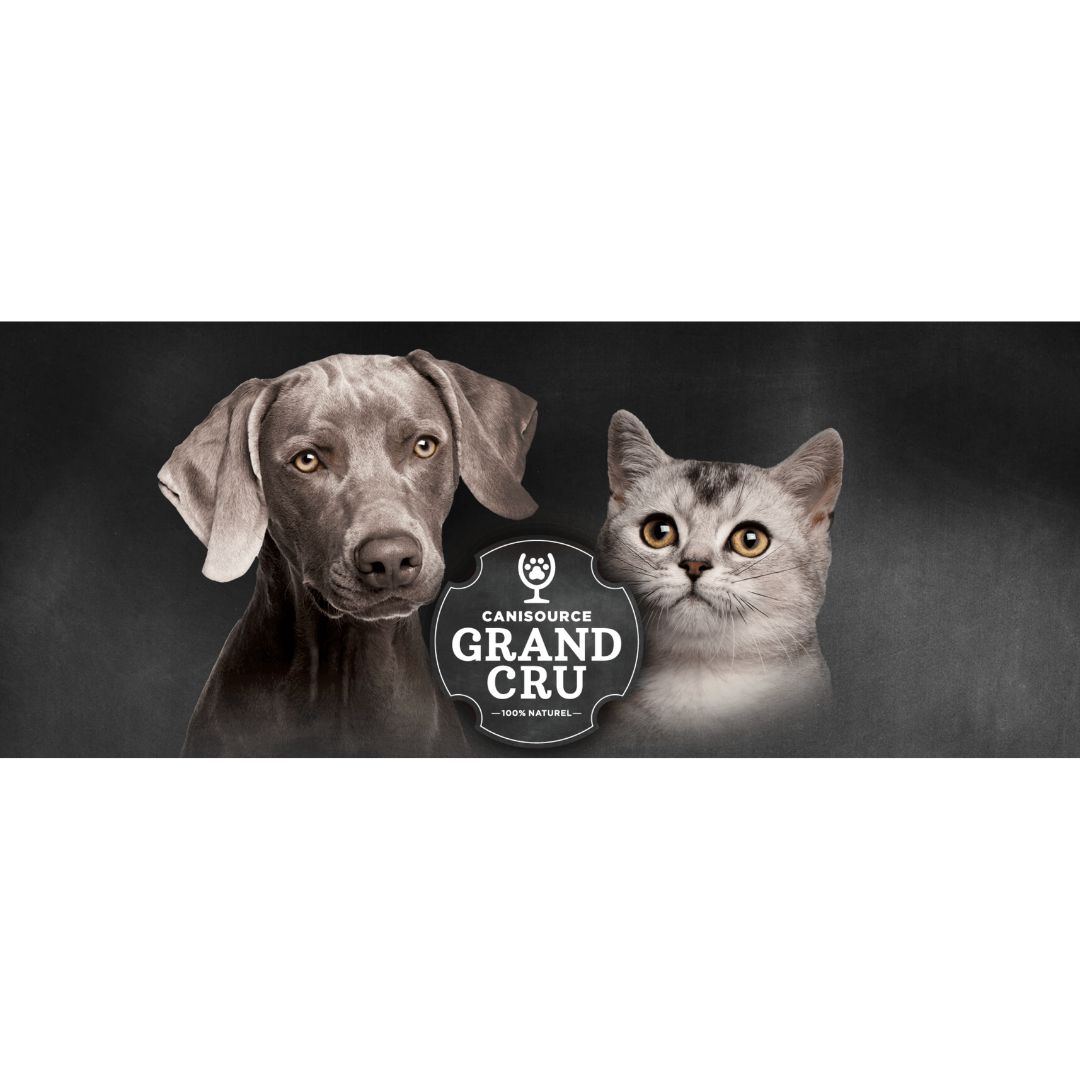 Grand Cru chat : croquettes à la viande et au poisson