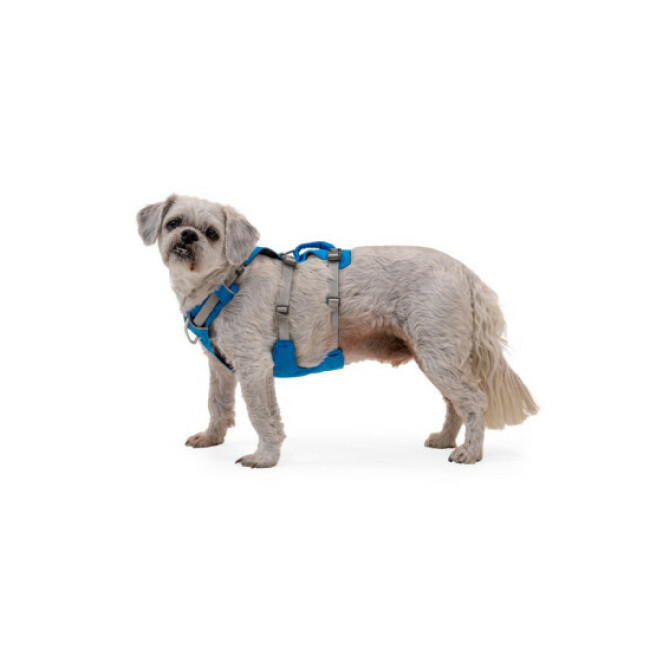 Harnais pour chien Flagline Ruffwear