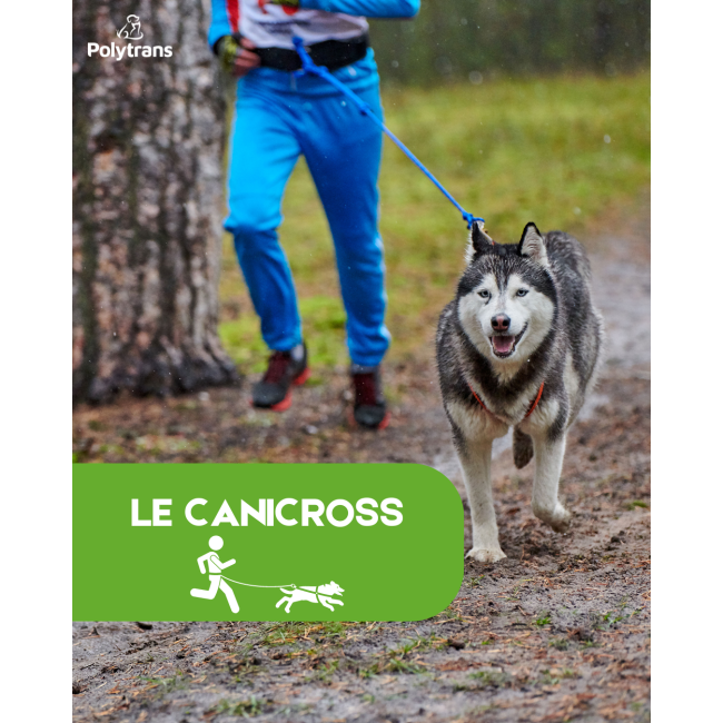Harnais canicross Kn1 Bike et harness Skate joering pour chien