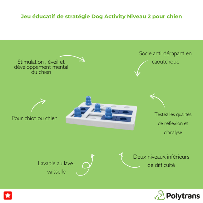 Jeu de réflexion aide un chien à développer son intelligence
