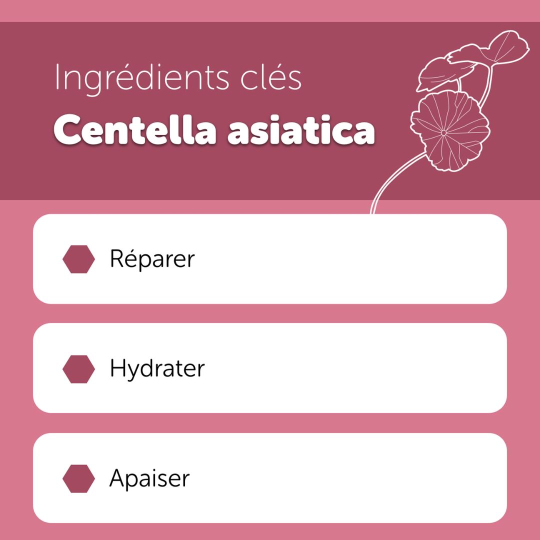 Sensiderm Spray apaisant chien et chat par MP Labo