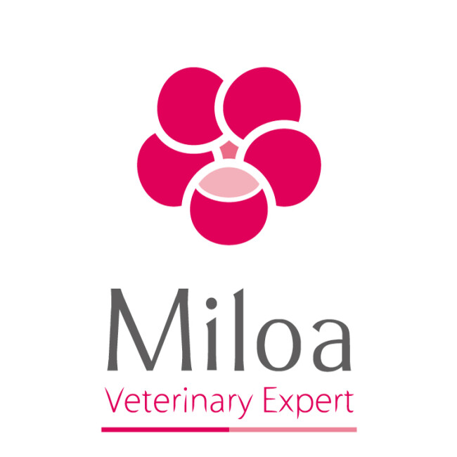 Synergie d’huiles essentielles naturelles pour inhalation : Respi Miloa