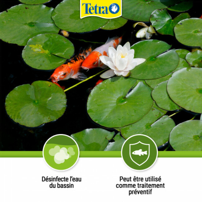 Tetra Pond MediFin : traitement de l'eau pour bassin de jardin