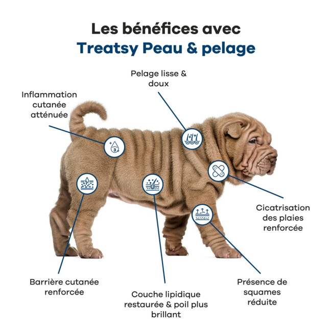 Treatsy Peau & Pelage : complément alimentaire pour le soin de la peau ...