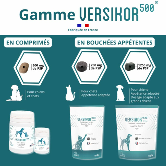 Versikor 500 Chews pour Chien - 45 Bouchées